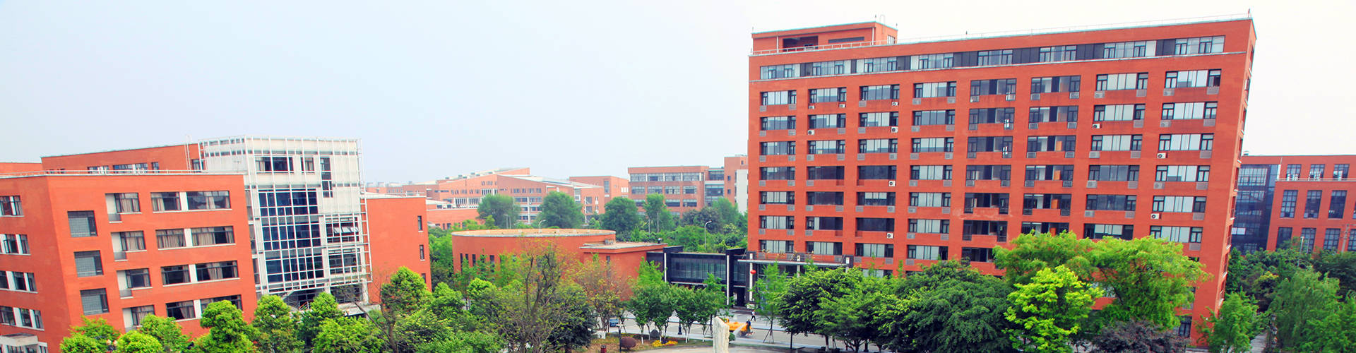 管理学院举办“职场传声筒——优秀校友与学生面对面”活动-西南民族大学管理学院
